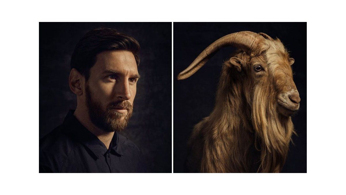 La historia detrás de la foto de Messi con una cabra que sorprende a ...