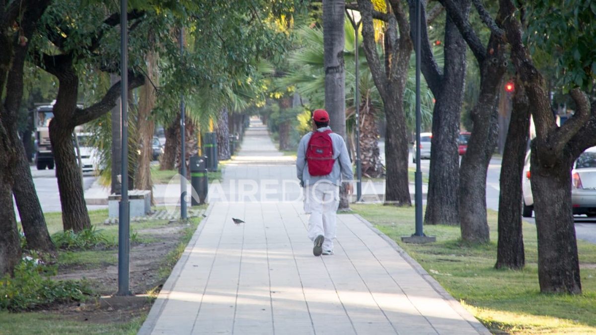¿Cuál es la diferencia entre boulevard, calle y avenida?
