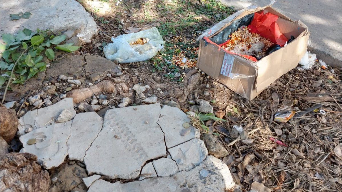 Una gallina muerta, velas blancas y pororó: el macabro hallazgo de un ...