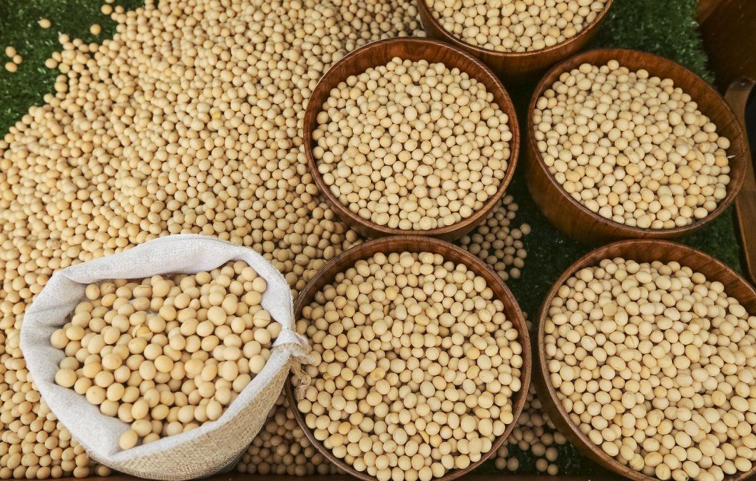 Cocinar con soja: recetas ricas y fáciles para todos los días