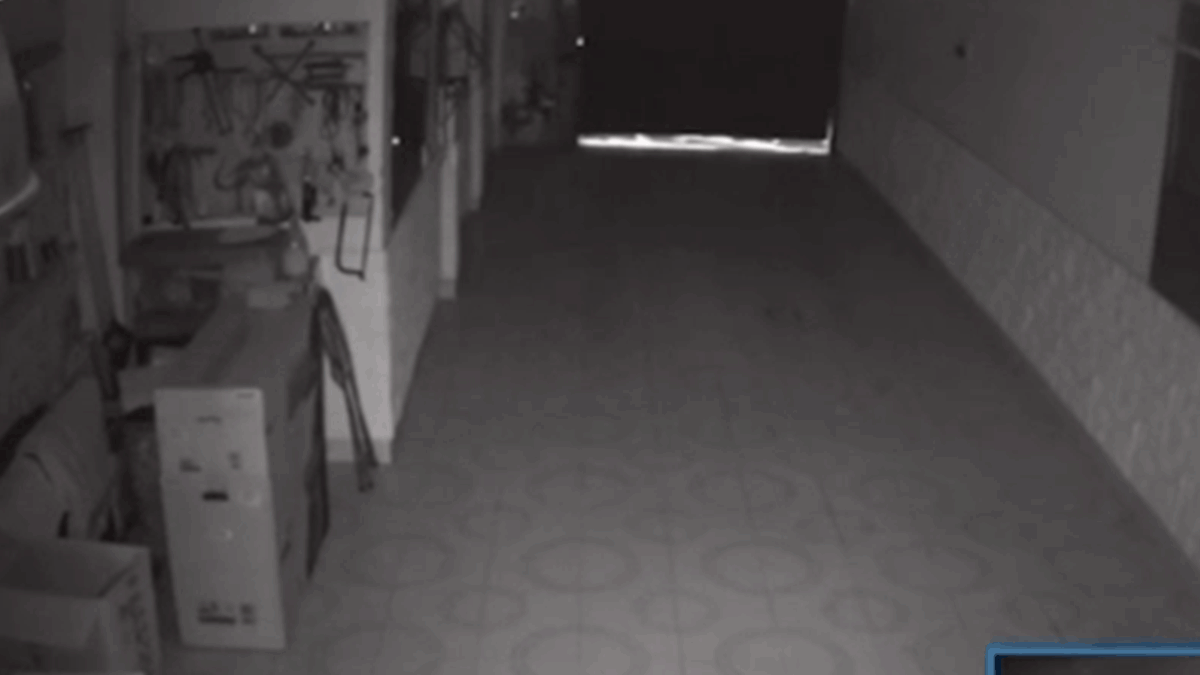 El Obsceno Y Desafiante Gesto De Un Ladrón Tras Un Robo Piraña En