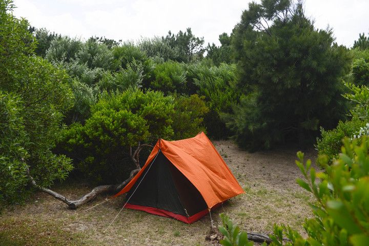 Todo lo que tenés que saber para ir de vacaciones en carpa
