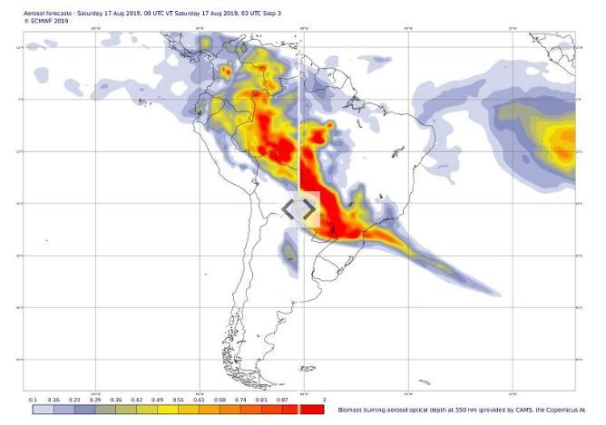 Incendios en el Amazonas: este año hubo 83% más focos que en 2018 y las ...