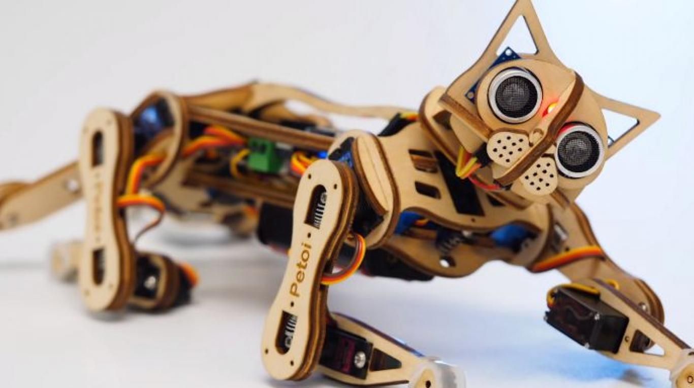 Tu próximo maestro de robótica podría ser un gato