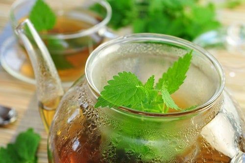 ¿Por qué debes tomar una infusión de menta después de comer?