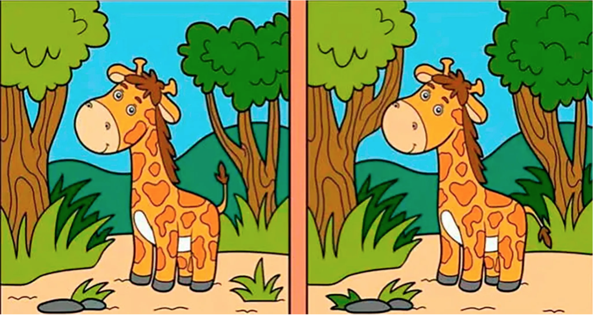 RETO VISUAL nivel PRO: solo el 2% encontró las 8 diferencias ¡en 7 ...