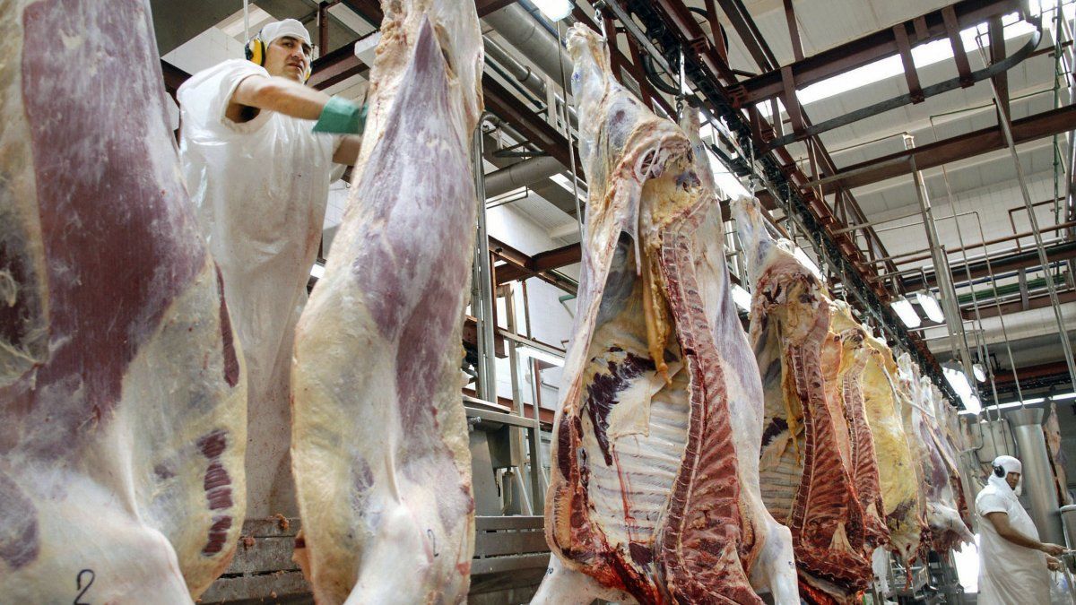 La Producción Y Exportación De Carne Mejoró En 2020 Mientras Que El