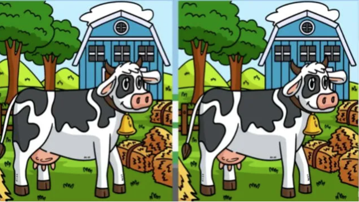 RETO VISUAL nivel PRO: solo el 3% encontró las 3 diferencias ¡en 7 ...