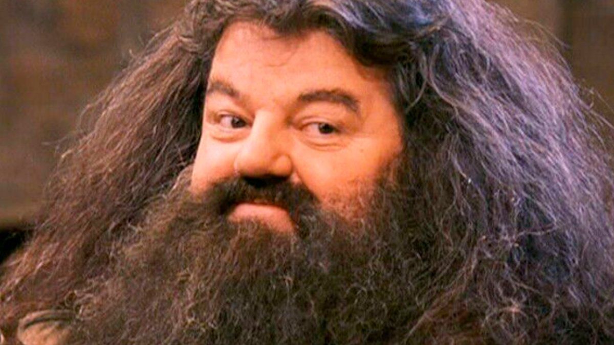 El emotivo mensaje de Hagrid en el especial de Harry Potter