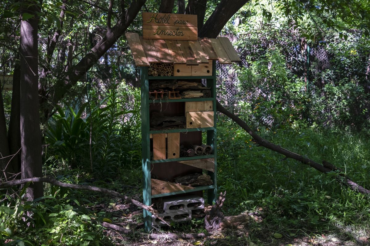 Mundo Aparte, un refugio único para la fauna silvestre en Rosario