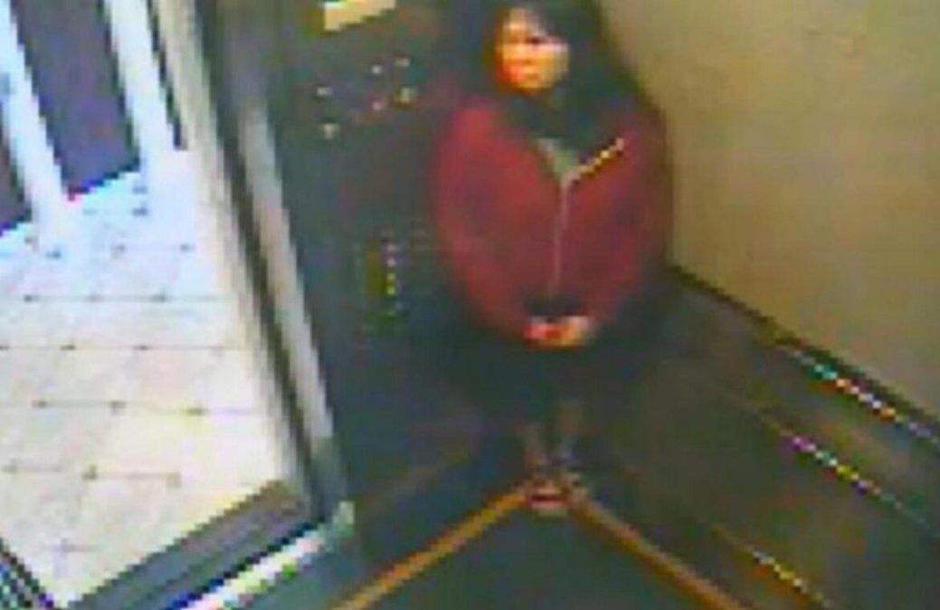 La terrorífica historia de Elisa Lam: el misterio del vídeo del ascensor llega a Netflix