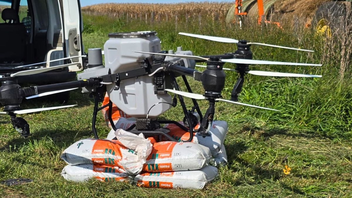 Siembra aérea con drones: INTA evalúa eficiencia en cultivos de cobertura