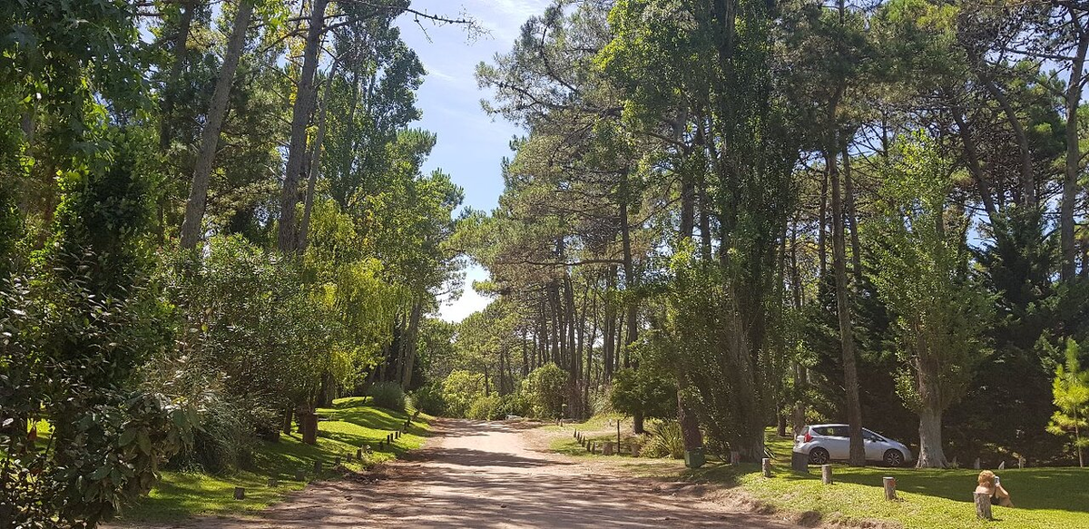 5 lugares imperdibles en Pinamar