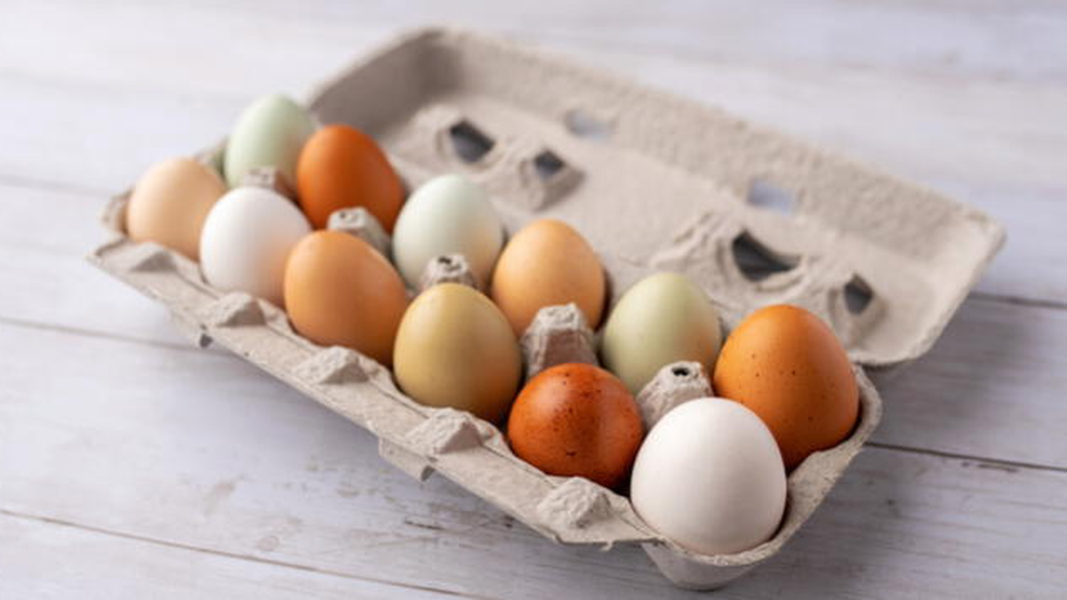 Cuáles son los tipos de huevos disponibles para el consumo y qué los ...