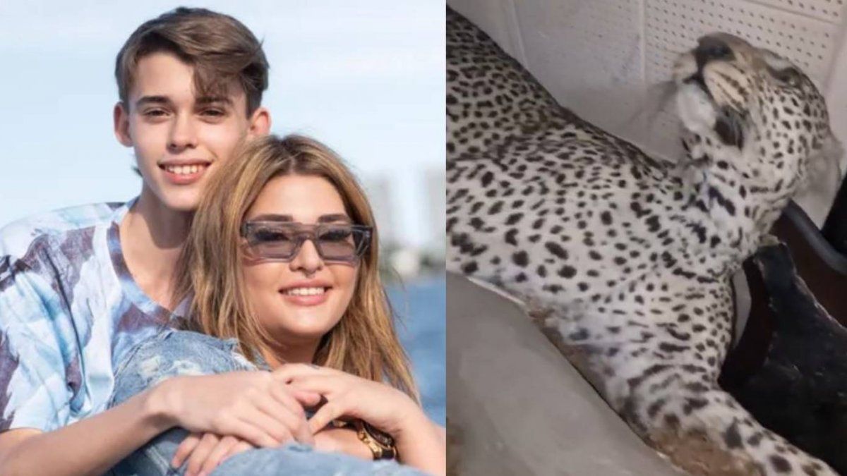 Uno por uno, todos los animales embalsamados que encontraron en la ...