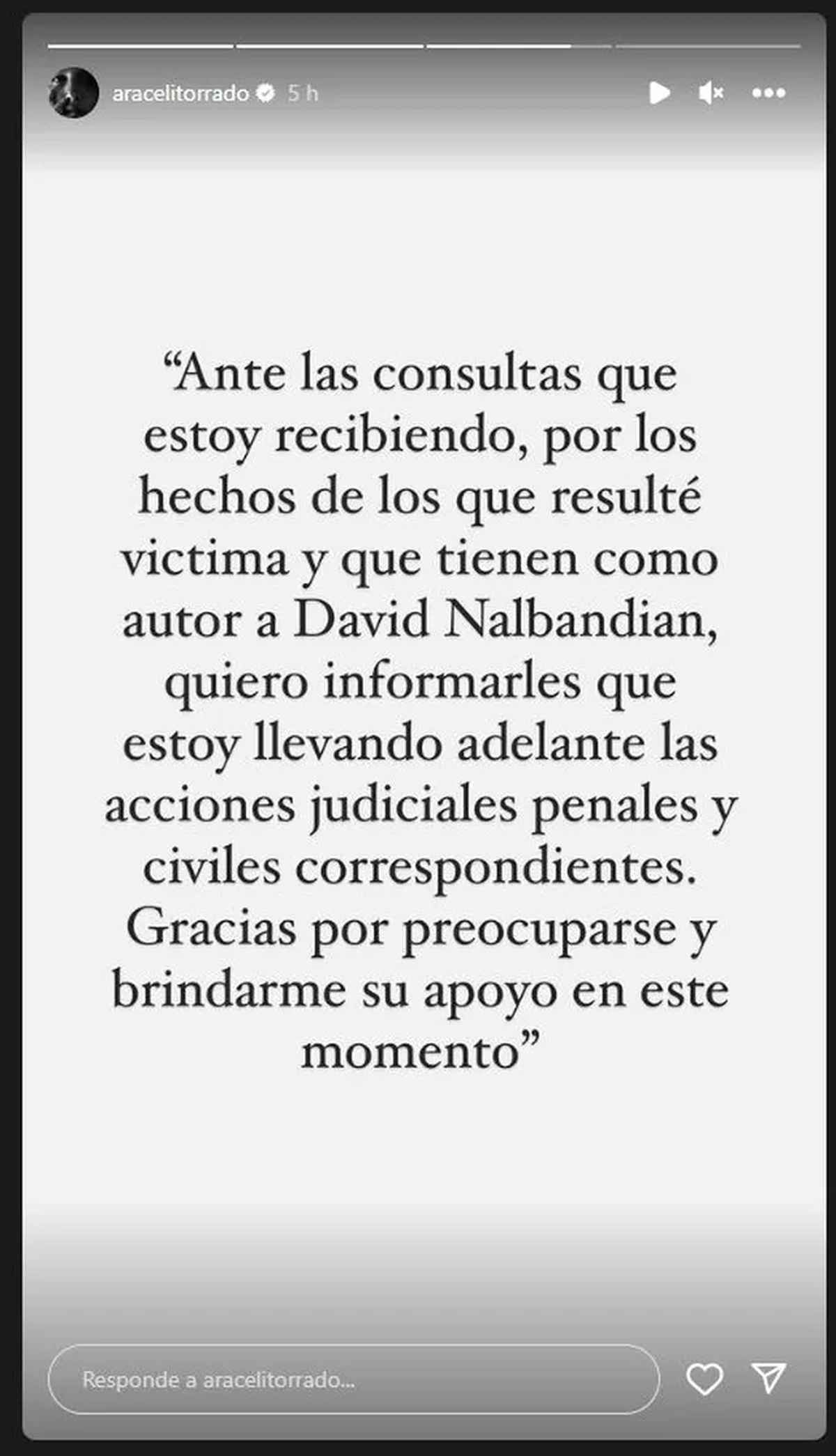 Araceli Torrado, denunciante y expareja de David Nalbandian, rompió el ...