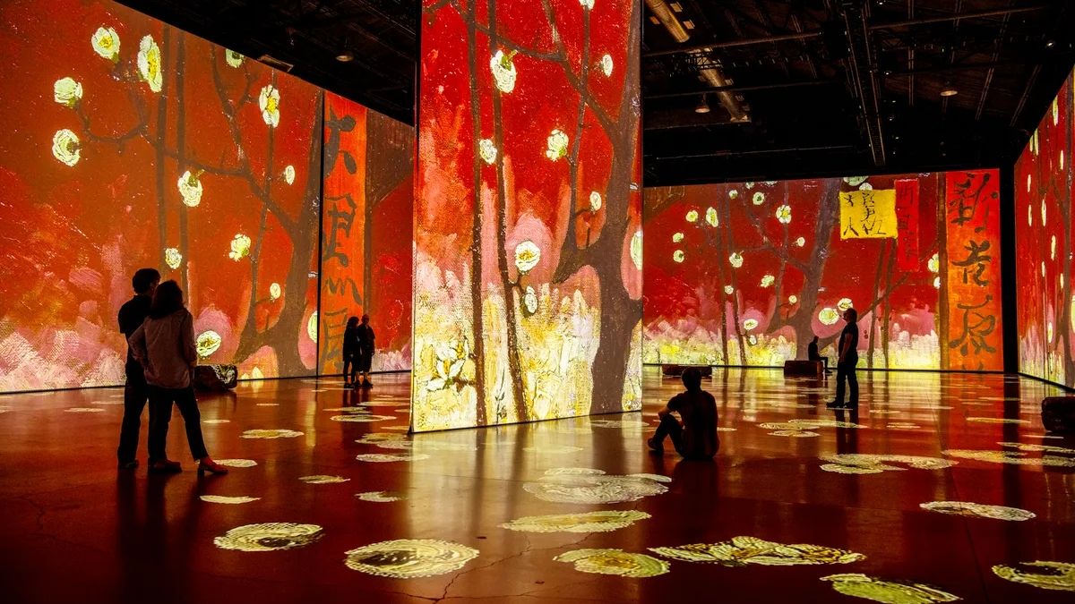 Imagine Van Gogh, la muestra inmersiva del pintor que es furor en ...