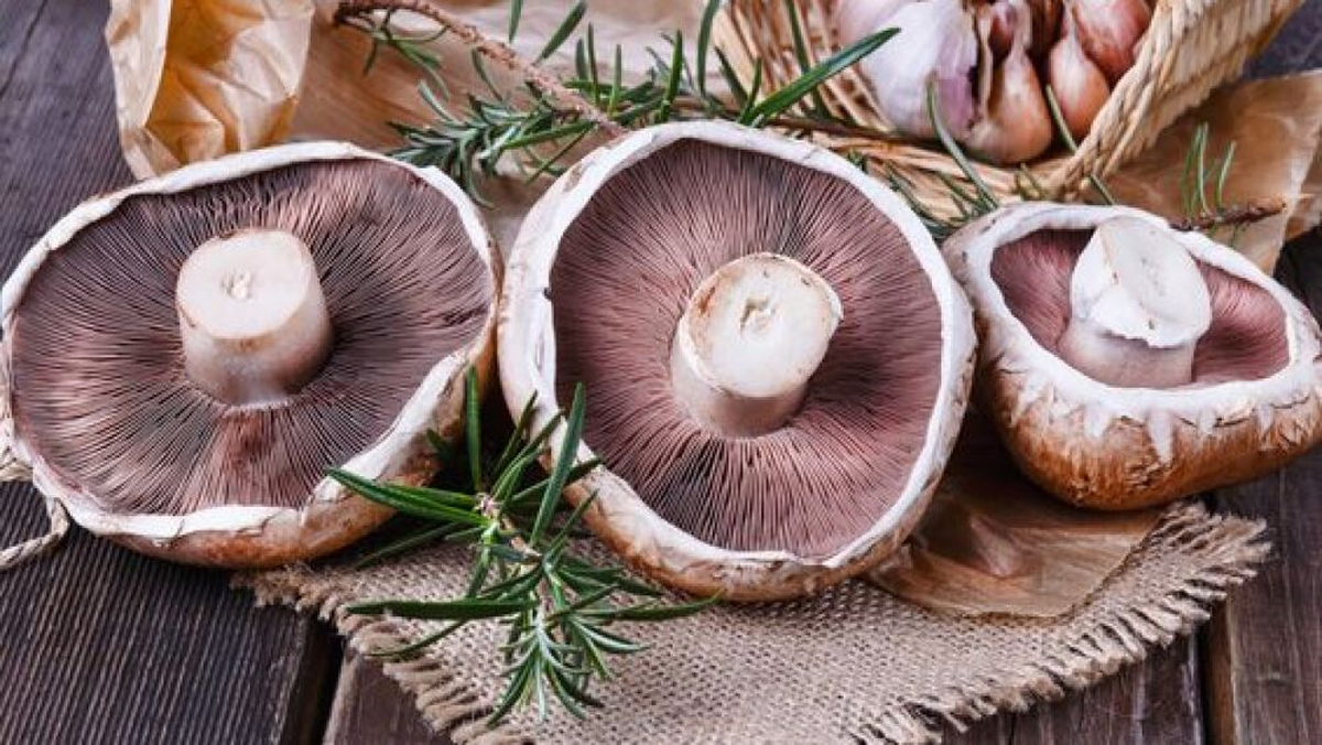 MasterChef: aprendé a hacer unos portobello rellenos dignos de Germán Martitegui