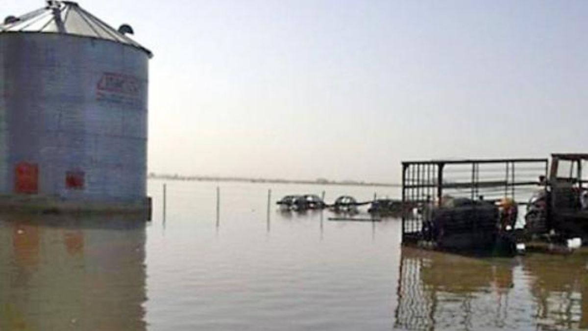 La inundación generó una pérdida de 100 mil hectáreas de cultivos
