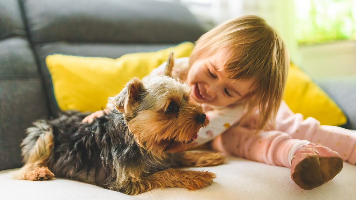 ¿Hablas con tu perro?: un estudio revela las increíbles ventajas de ...