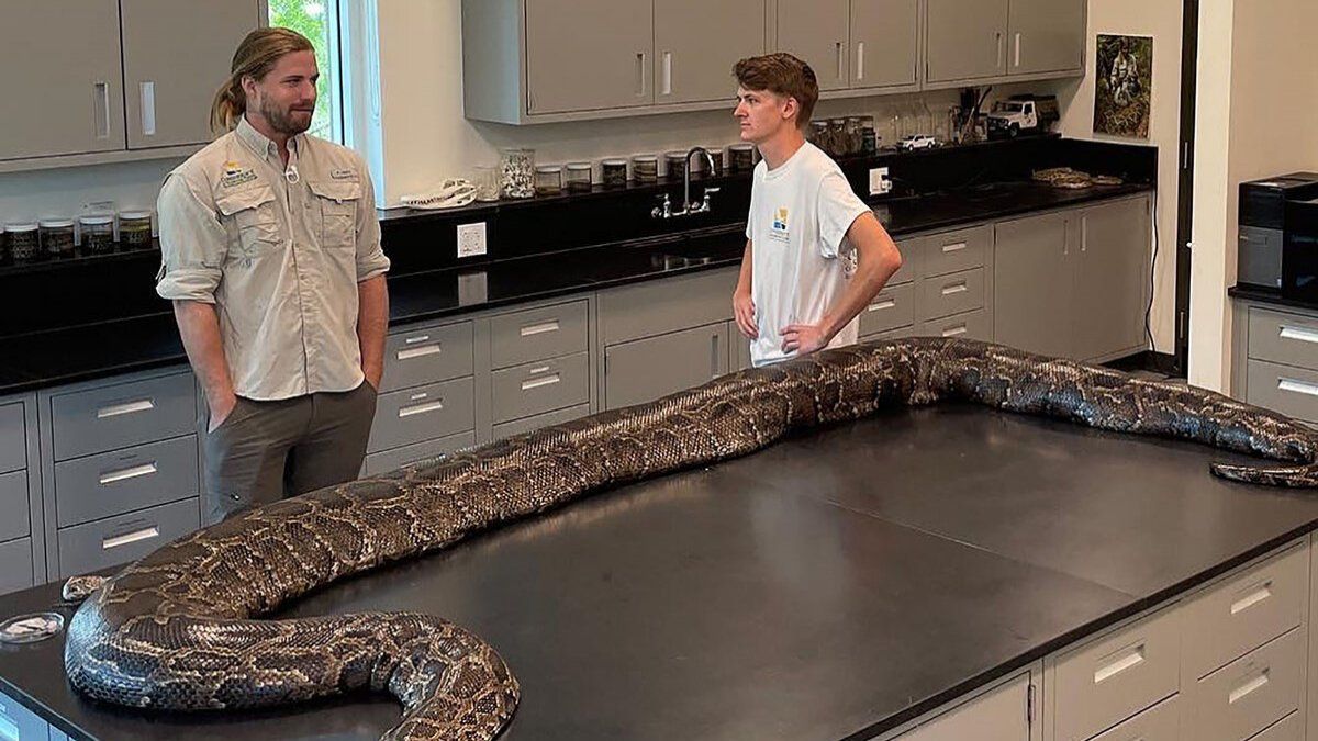 Las fotos de Sol Pérez frente al espejo que se llevaron todas las miradas