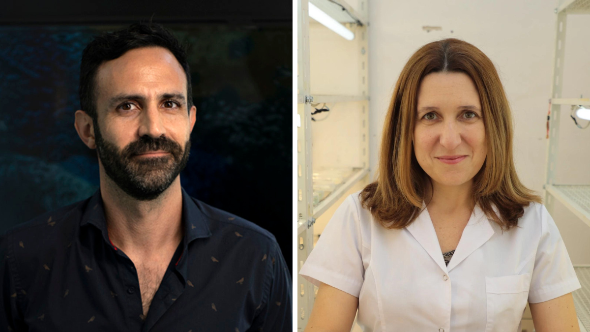 La investigadora Raquel Chan ganó un reconocido premio por el ...