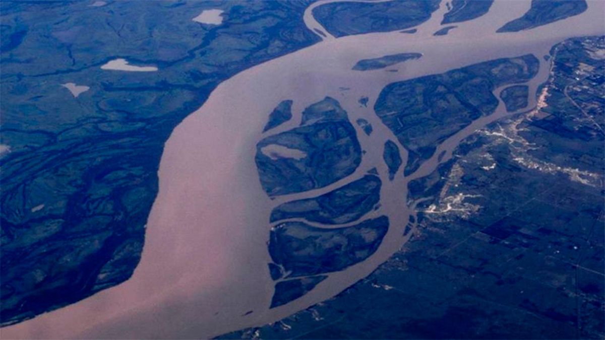 “La contaminación por plástico del río Paraná es enorme”, dicen en el ...