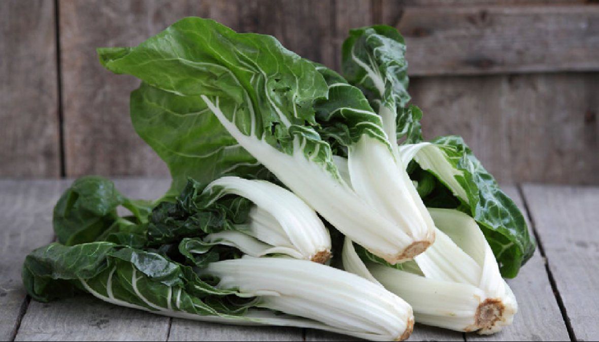 3 recetas ricas y fáciles con acelga