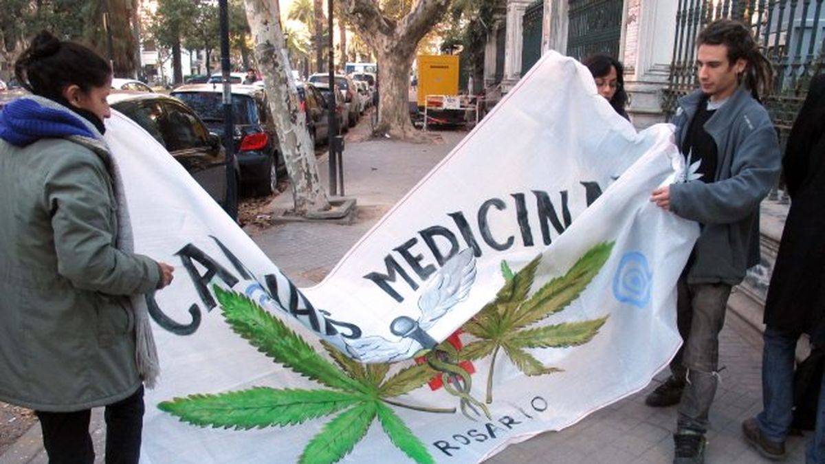 Capacitarán a médicos de hospitales sobre tratamientos con cannabis