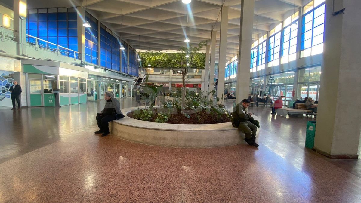 Con cambios en la fachada y el interior, la renovada Terminal de ...