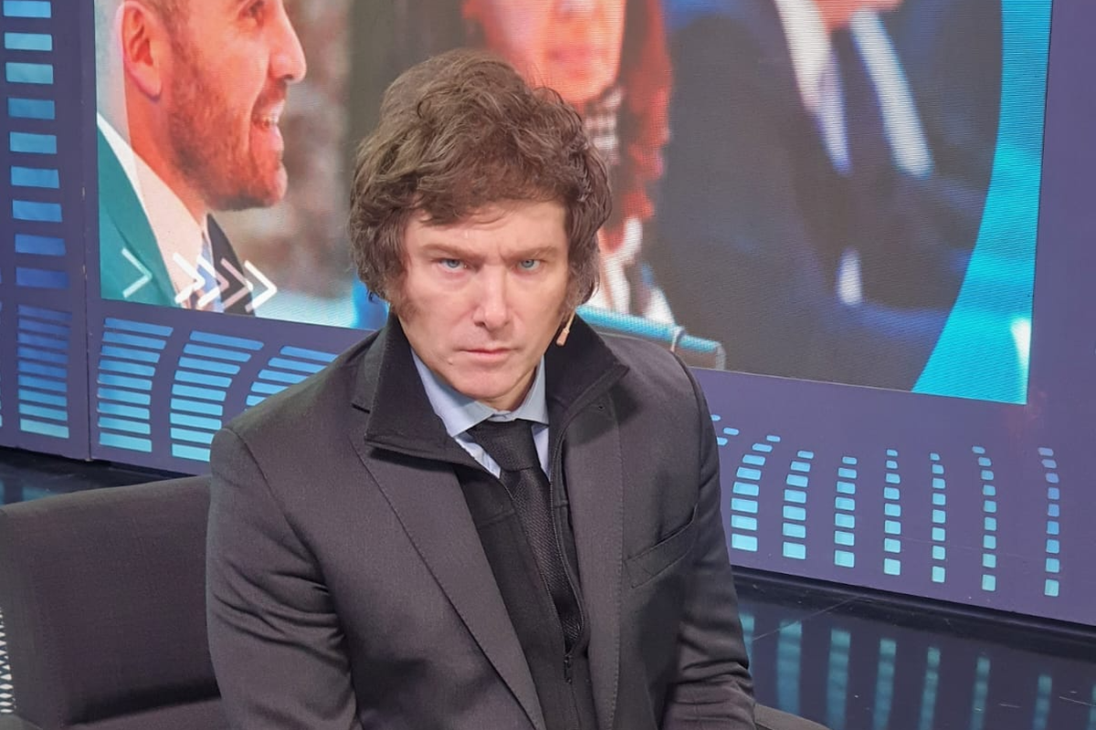 Cuál es la gran inseguridad de Javier Milei