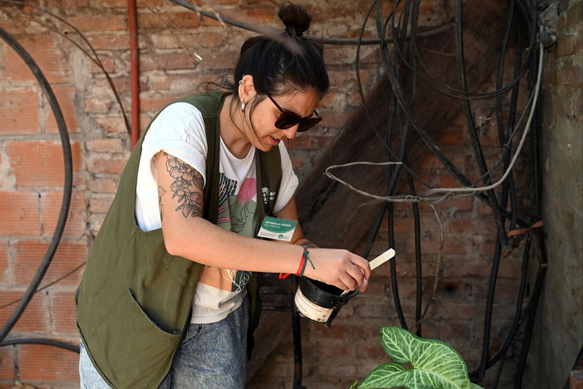 Dengue: se confirmó la presencia del vector en 26 barrios de la ciudad ...