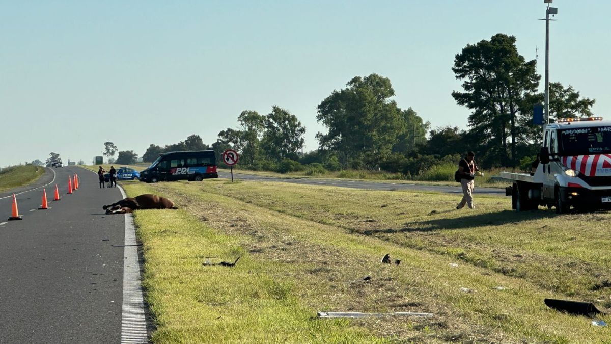 Falleció el agente penitenciario que chocó contra un caballo en ...