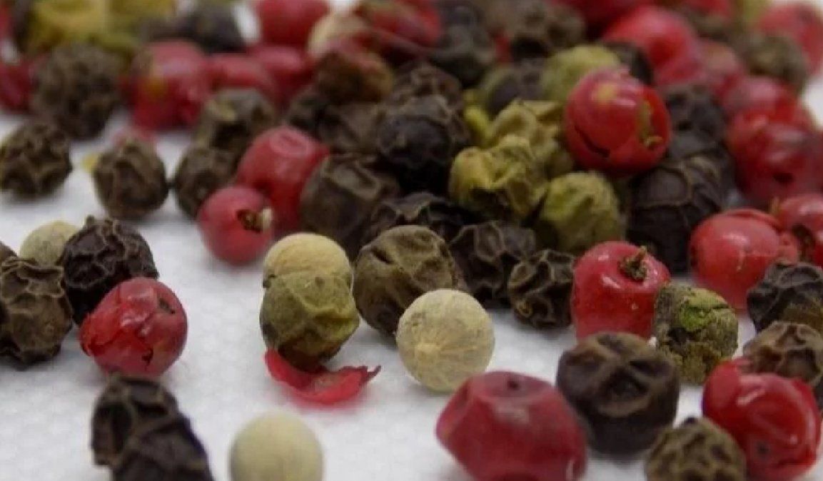 Cómo incorporar condimentos y especias a tus recetas