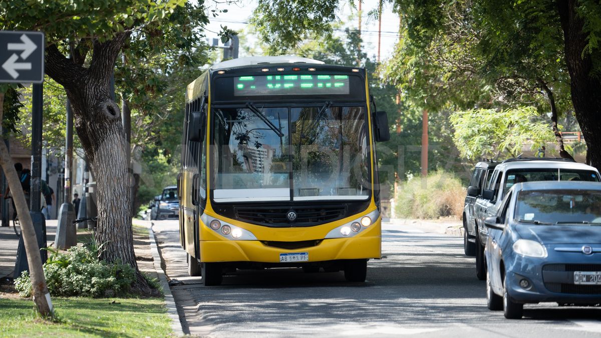 Los colectivos serán gratis el domingo en la provincia de Santa Fe por ...