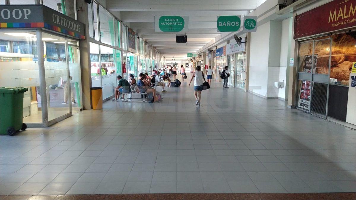 Remodelación de la Terminal de Ómnibus: las dos ofertas presentadas ...