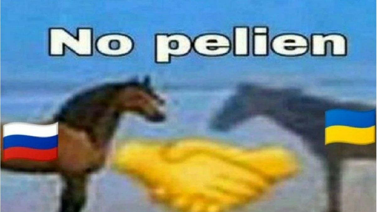 Luego de la invasión rusa a Ucrania, llegaron los memes de la paz