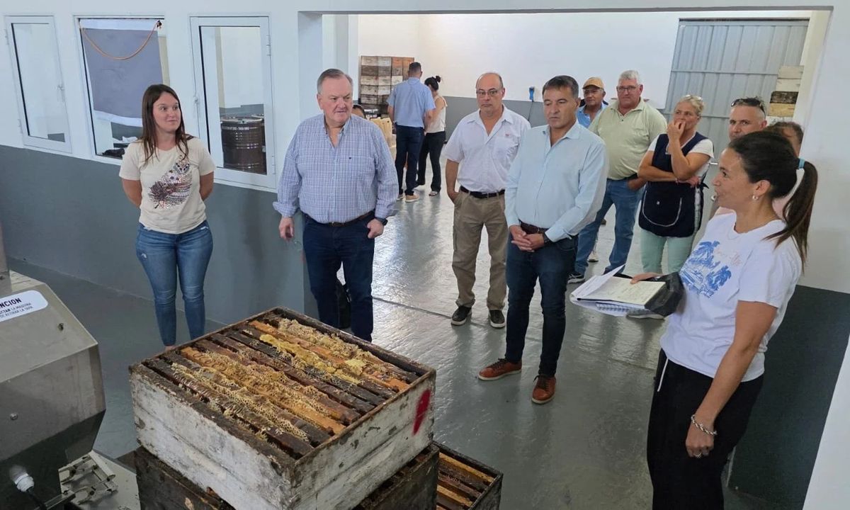El senador Felipe Michlig visitó la nueva sala de extracción de miel de ...