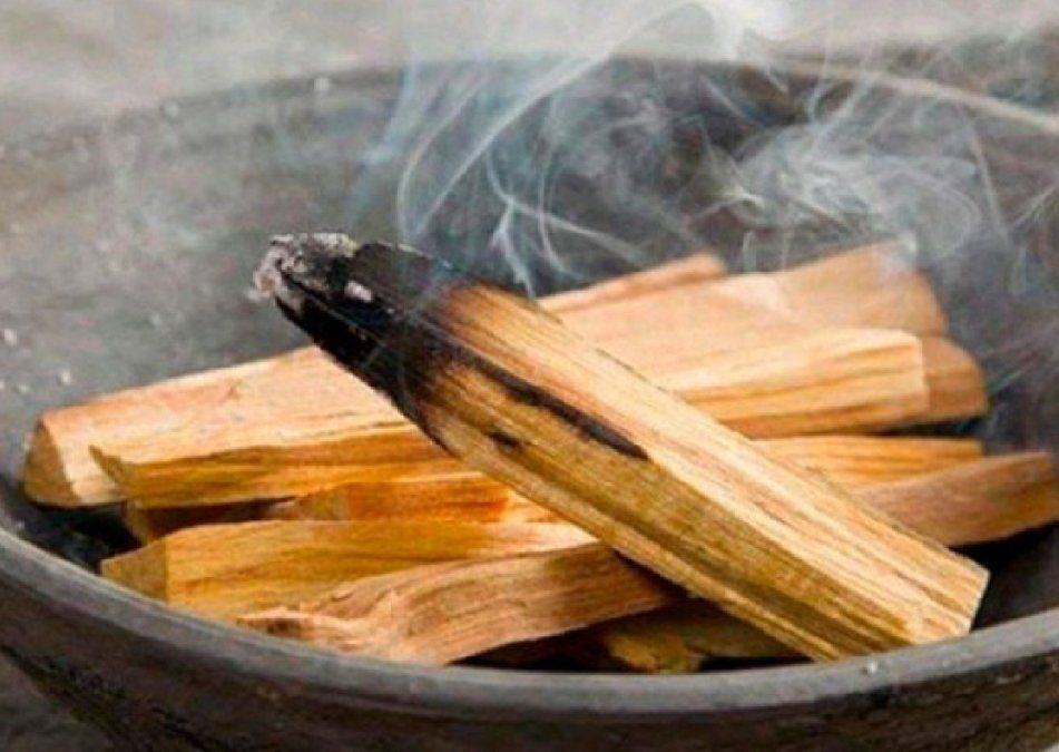 Palo Santo: qué es y cómo aprovechar sus beneficios