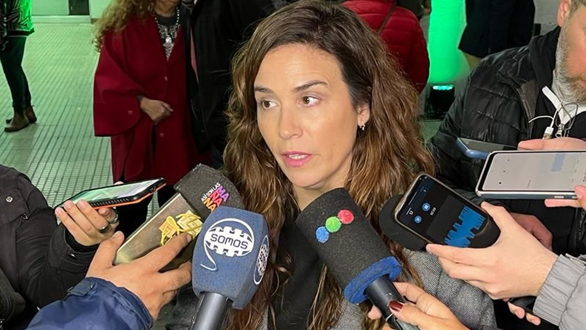 Colectivos: el gobierno nacional admitió la necesidad de discutir las ...