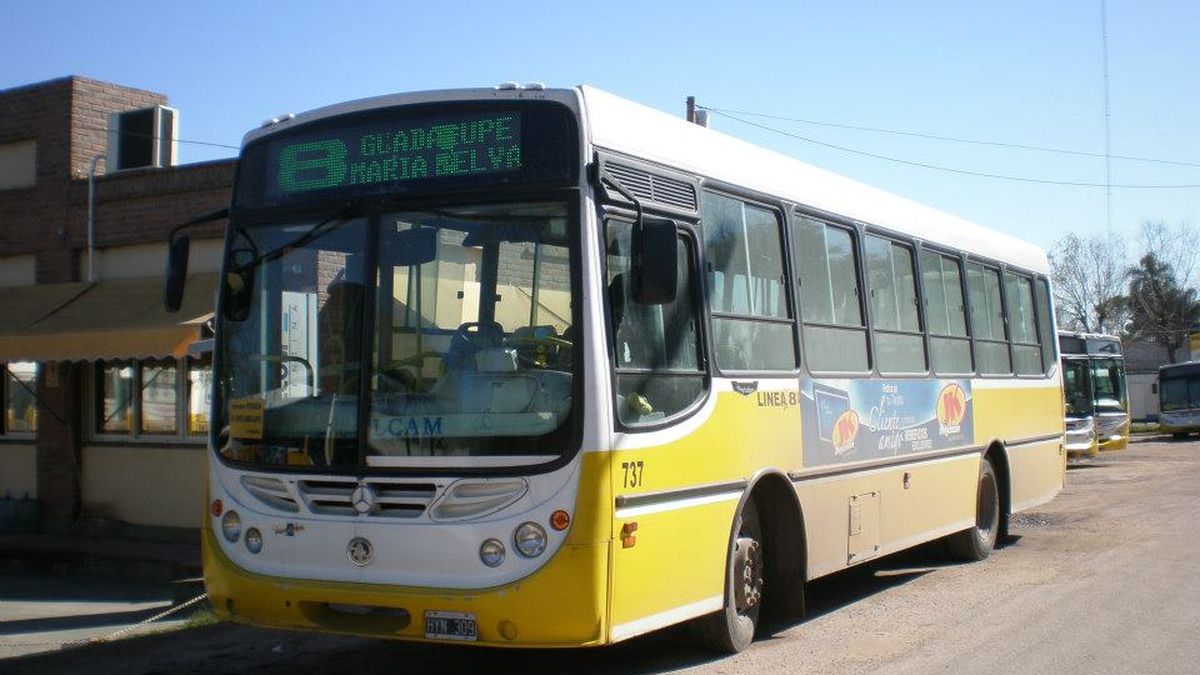 Transporte Público: cambio de recorrido de la Línea 8
