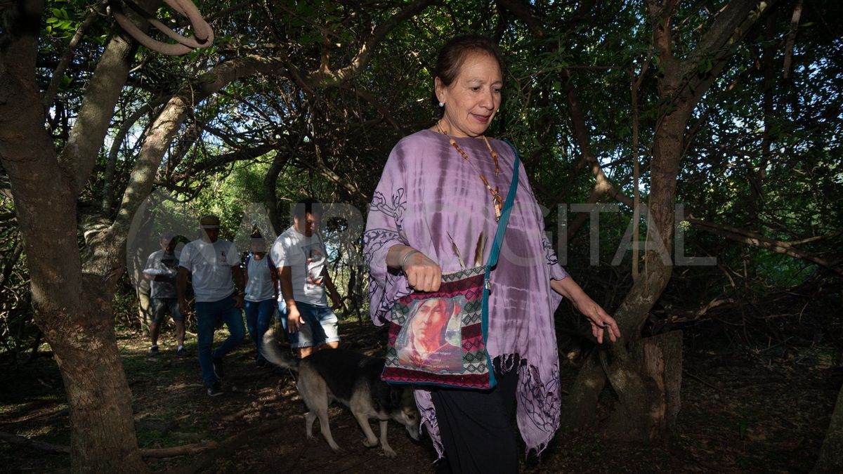 Colonia Dolores: el camino de sanación, un ritual ancestral mocoví que ...