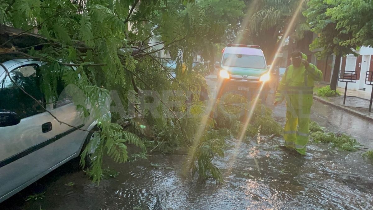 En el barrio Sur cayó una pesada rama sobre un auto y le aplastó el techo