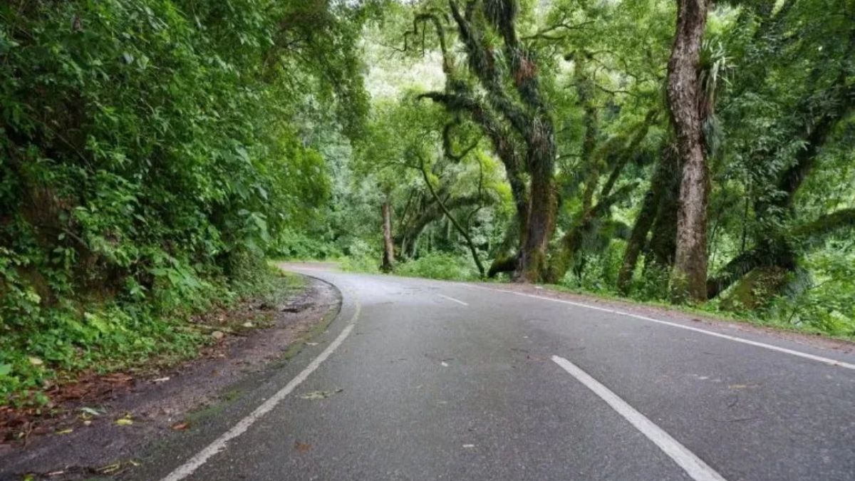 Cuál es la ruta más angosta de Argentina, rodeada de paisajes ...