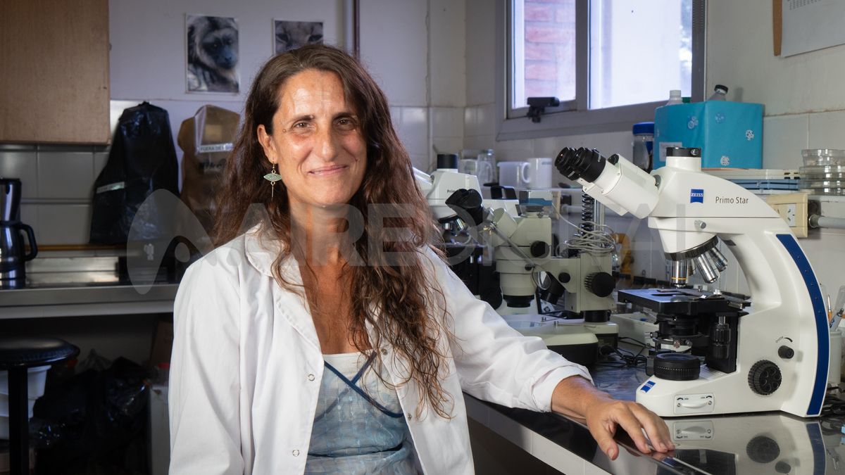 Investigar y justificar: el doble rol de las mujeres en la ciencia