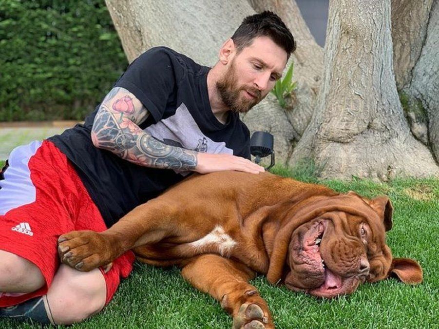 PREOCUPA la vida de Hulk, el perro de Messi