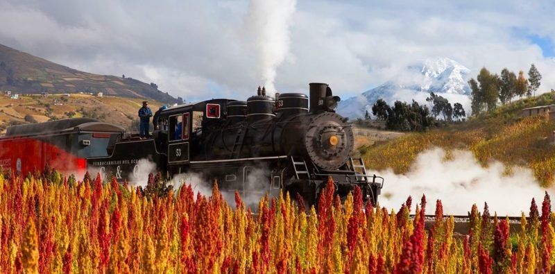 Historias sobre rieles: 10 trenes imperdibles del mundo