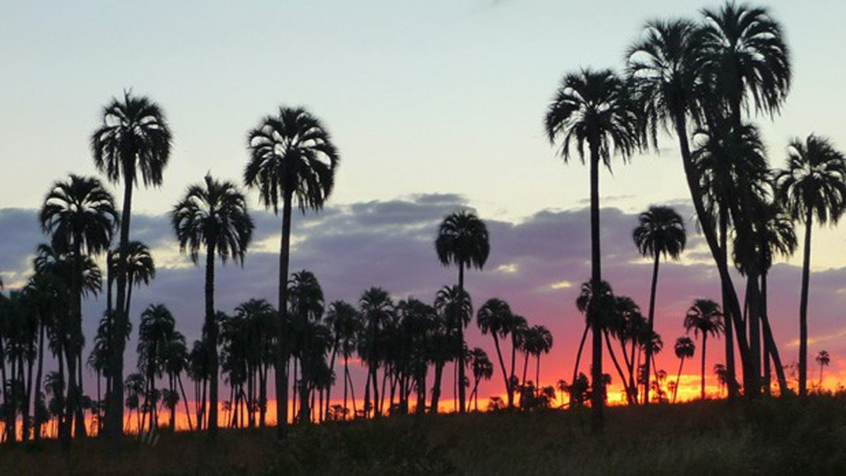 Entre Ríos: qué hacer en Colón este verano 2022