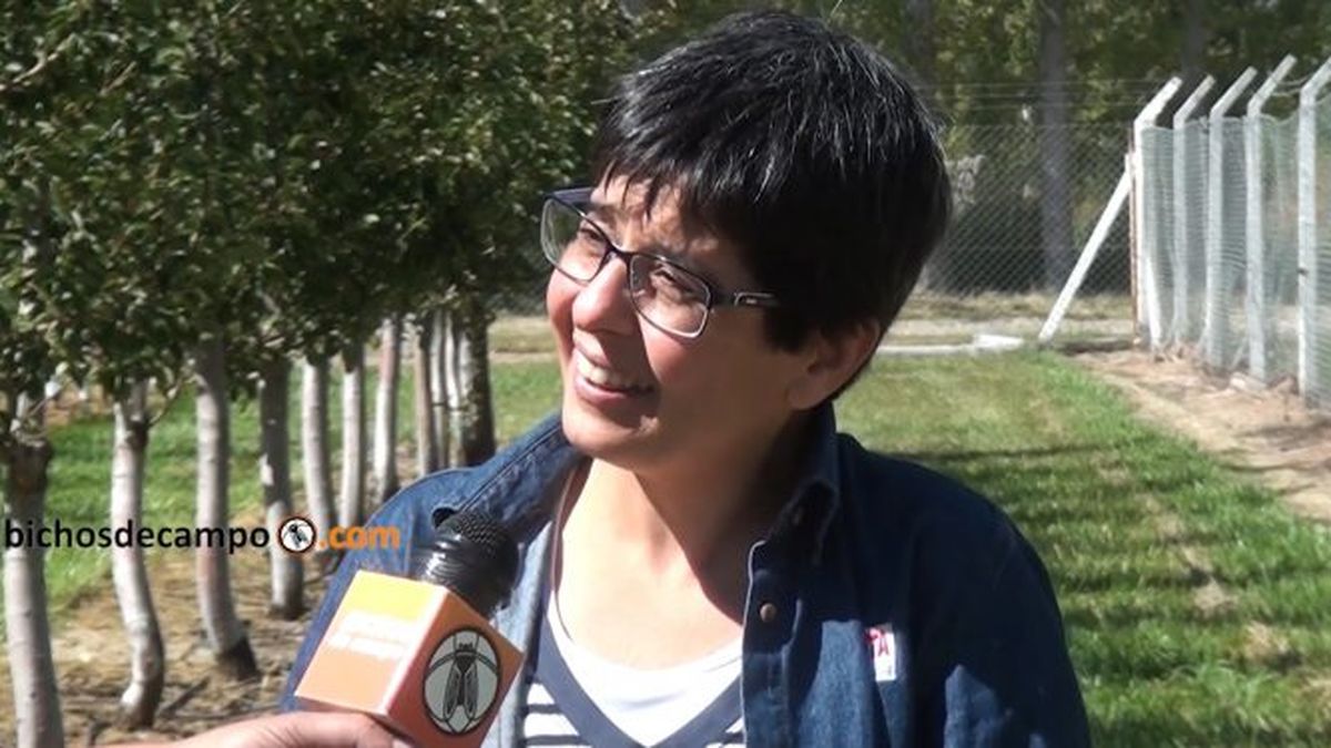 Paula Calvo: “Estamos atrasados con las variedades de manzana que pide ...