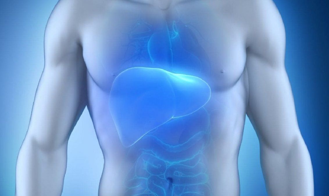 7 alimentos ricos en vitaminas para fortalecer la salud del hígado